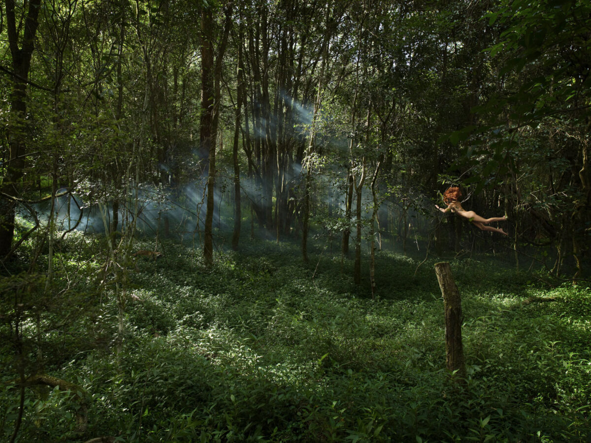 Fallen – Toby Burrows Photography