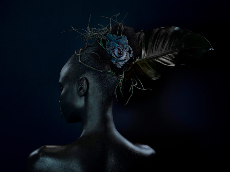 Prints – Toby Burrows Photography